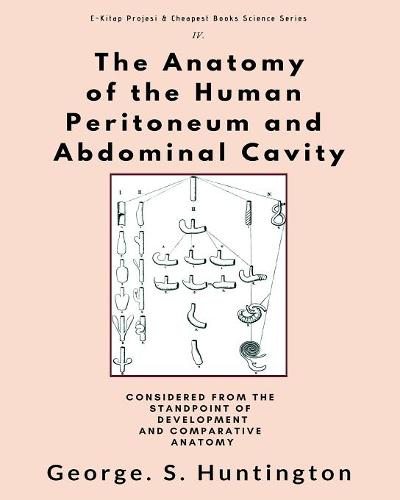 Gross Anatomy Abdominal Wall And Peritoneal Cavity Phrenicocolic ...