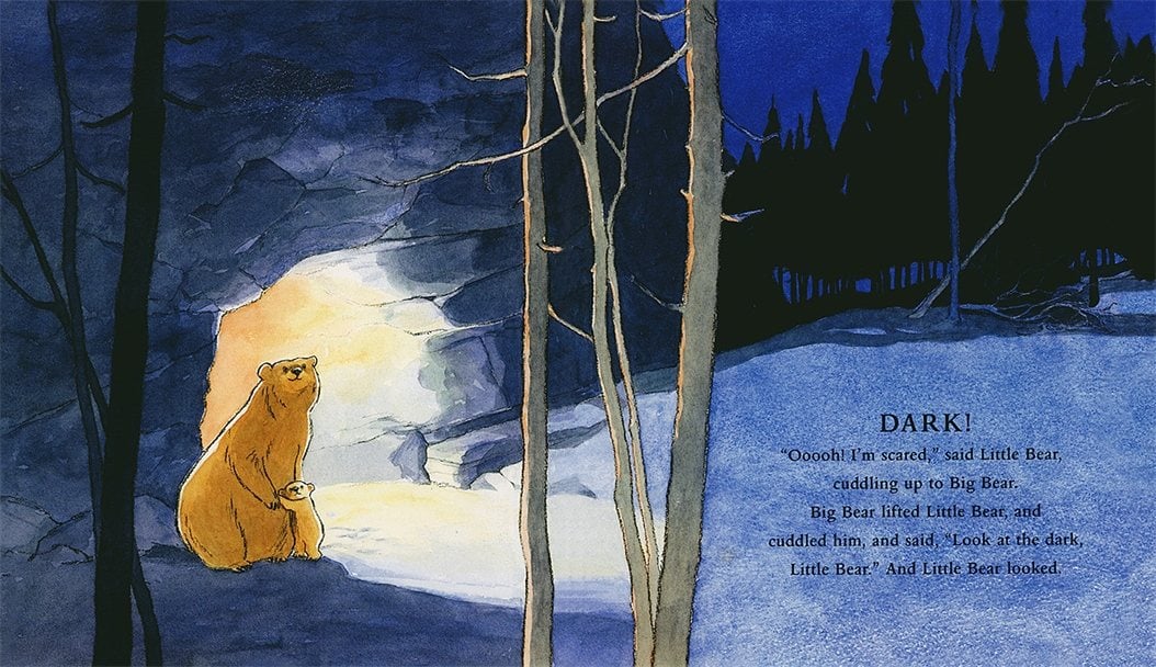 Can't You Sleep, Little Bear? by Martin Waddell, Barbara Firth | Foyles